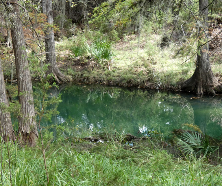 Friends of Guadalupe River State Park and Honey Creek State Natural ...